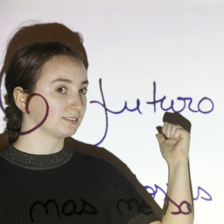 Projector Screen Paint Pro for Offices & Schools